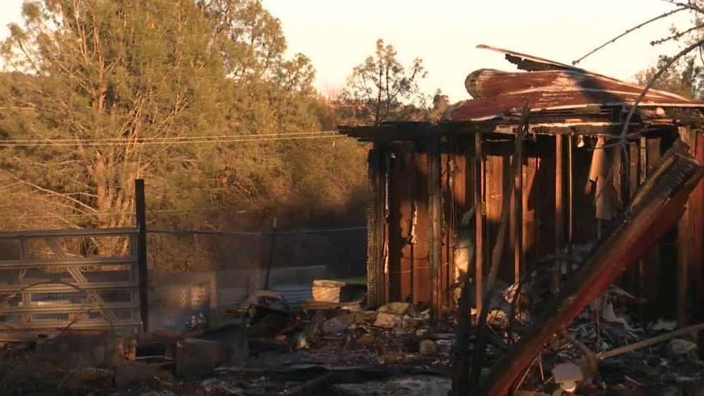 'We’ve lost 40 animals': Barn fire claims sanctuary animal lives