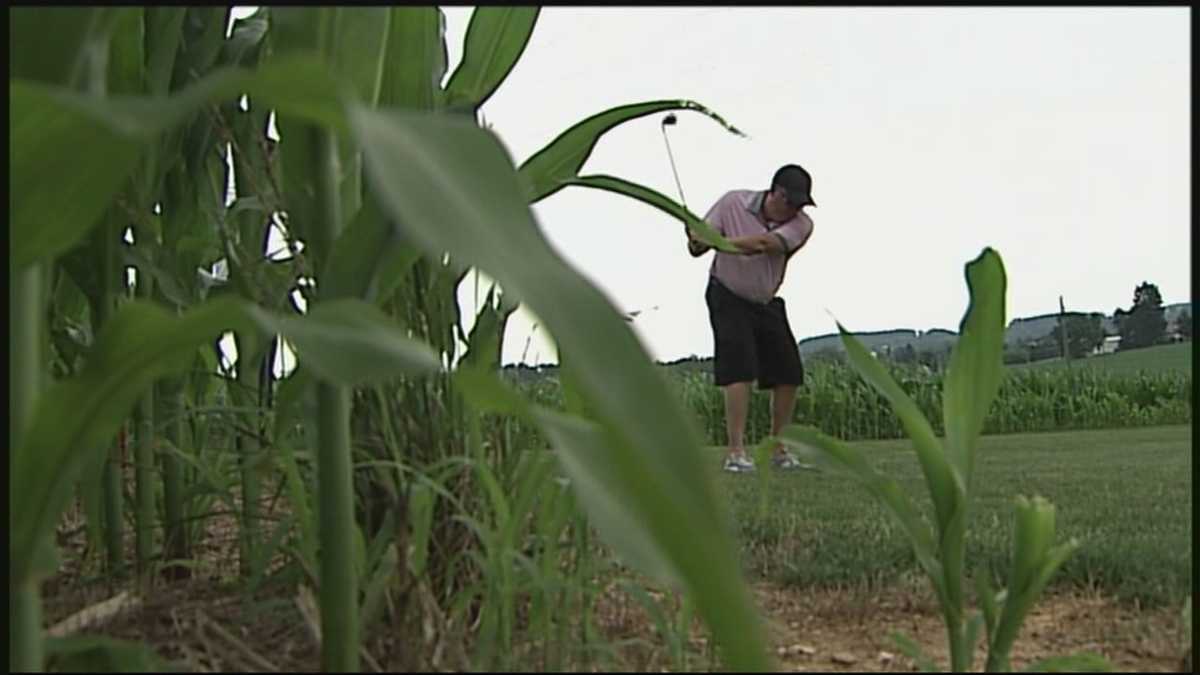 News 8's Jere Gish tries 'corn maze golf' in Lancaster County