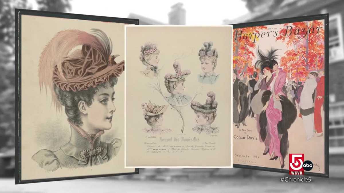 Exploring plumed hats at a Mass. museum