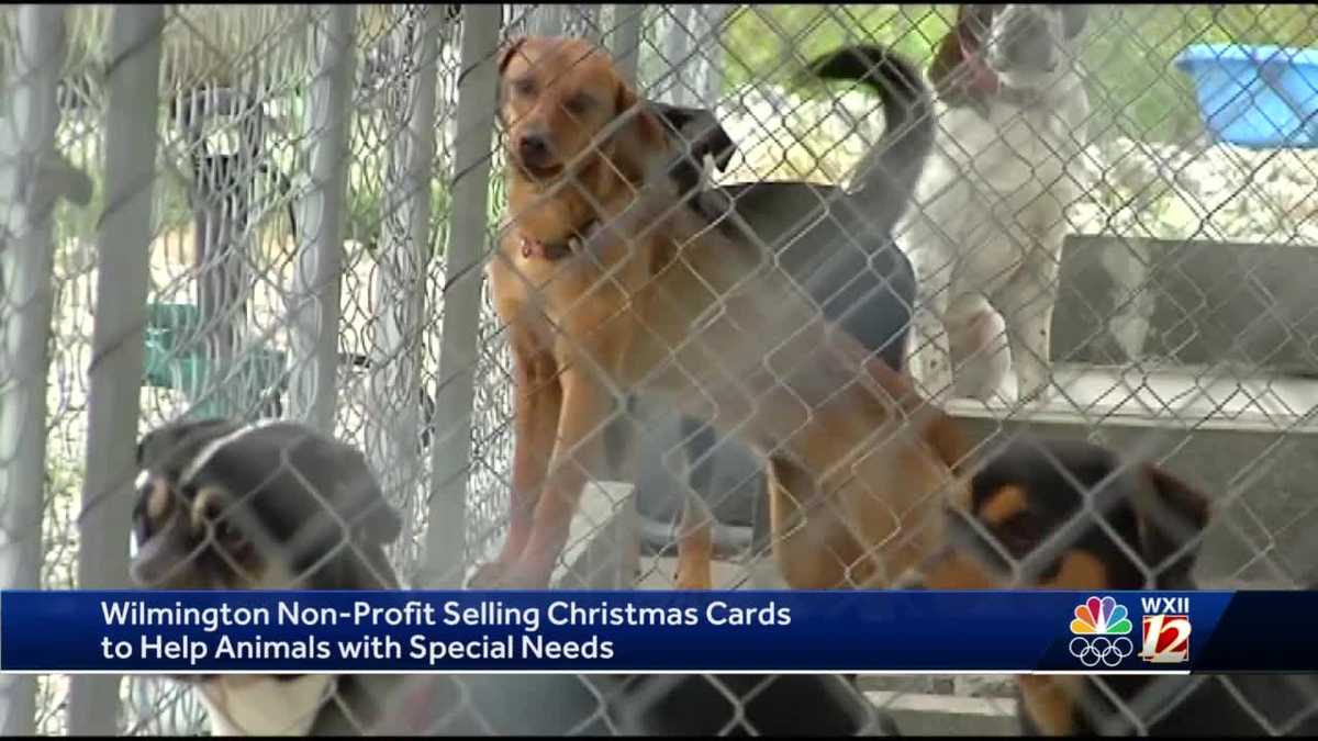 Group helps special needs animals get adopted