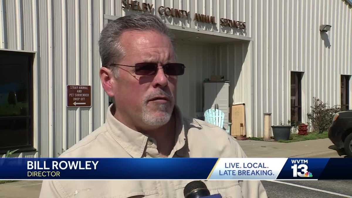 Shelby Humane overcrowded for good reason