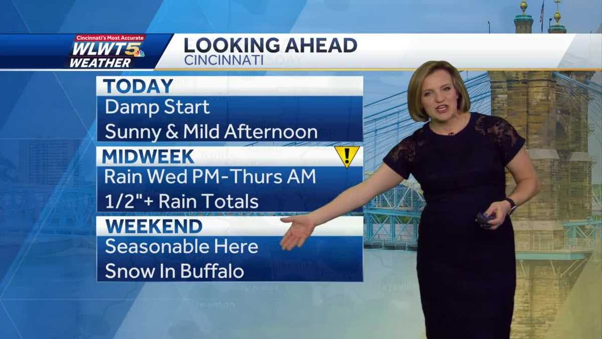 Damp Start Then Sunshine