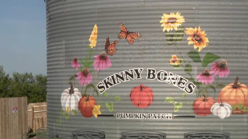 Skinny Bones Pumpkin Patch opens for fall