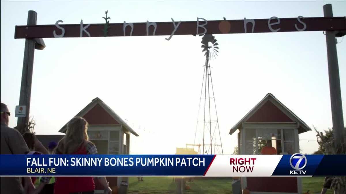 Fall family fun: Skinny Bones Pumpkin Patch in Blair