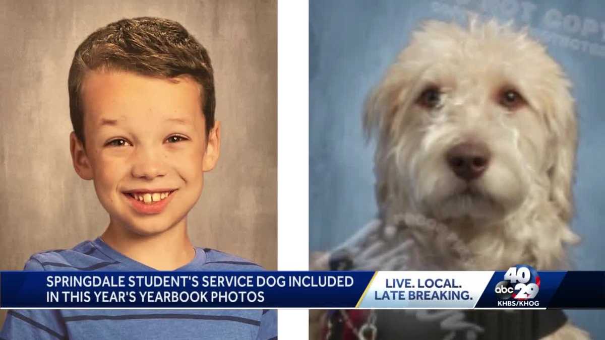 Springdale student's service dog included in yearbook photos