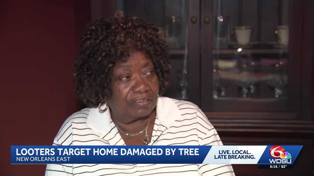 New Orleans East woman left to rebuild after a fallen tree destroyed ...