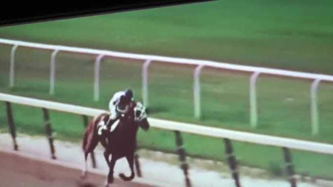 Exhibit at Kentucky Derby Museum honors life, legacy of Secretariat