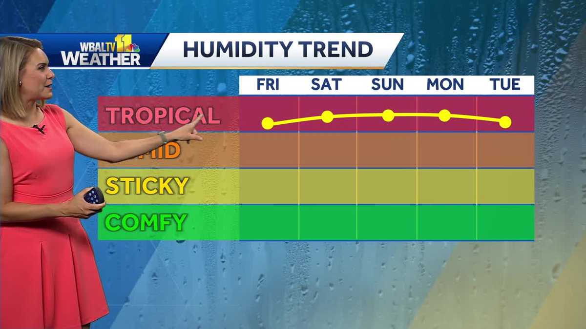 Feeling tropical Friday in Baltimore