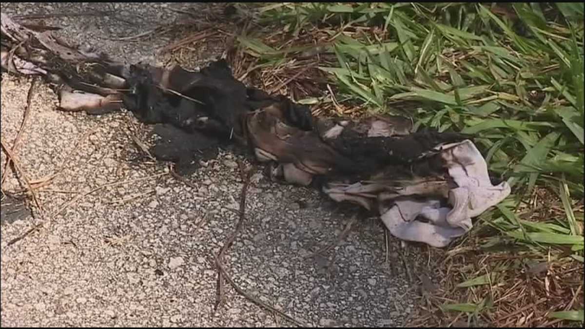 Man burned when setting up Halloween decorations