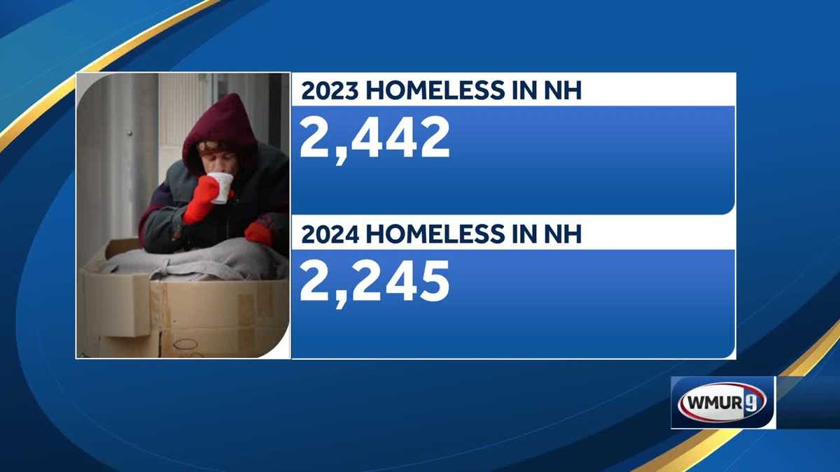 New Hampshire data for homelessness for 2024