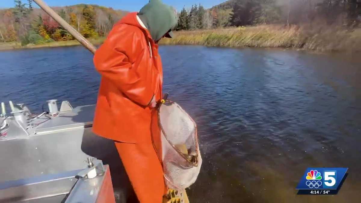 Fall trout stocking gives Vermonters more chances to fish during fall ...