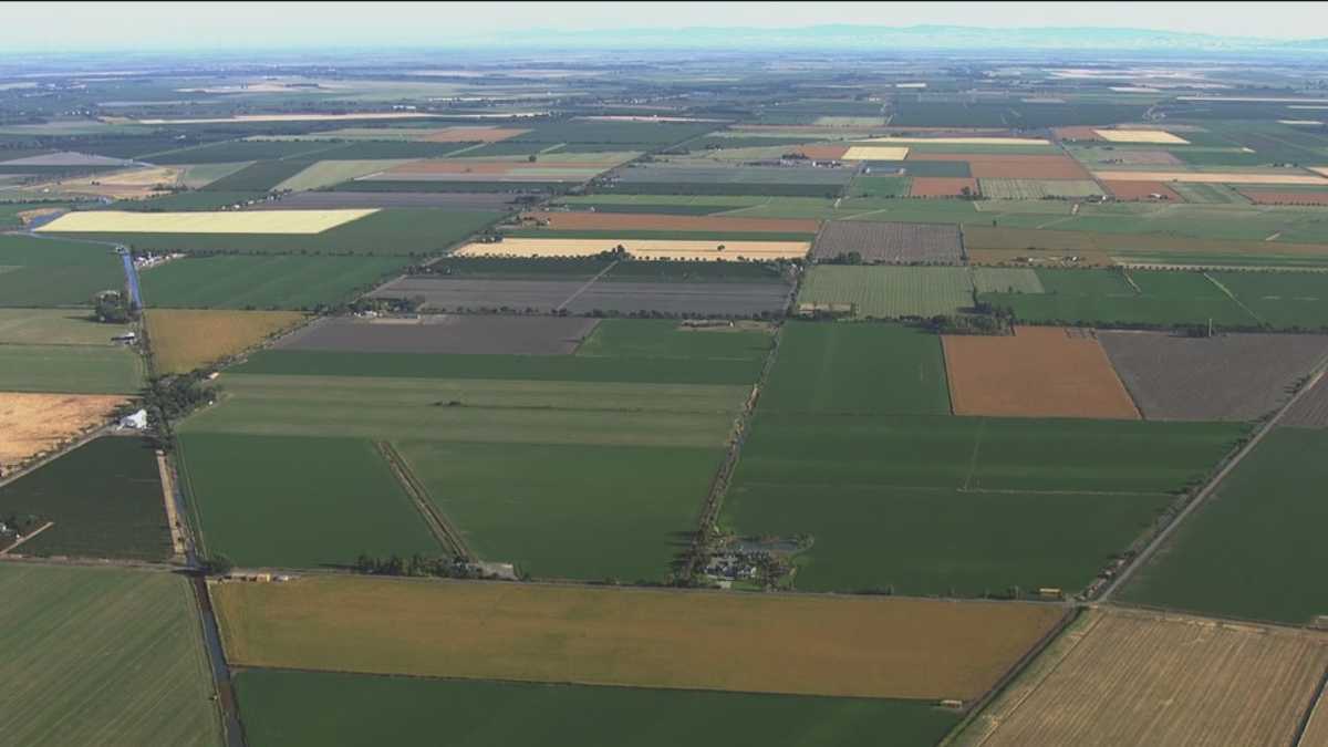 California drought has big impact on farmers, agriculture