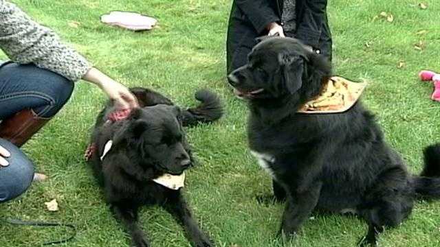 Molly and Myra can't live without each-other!