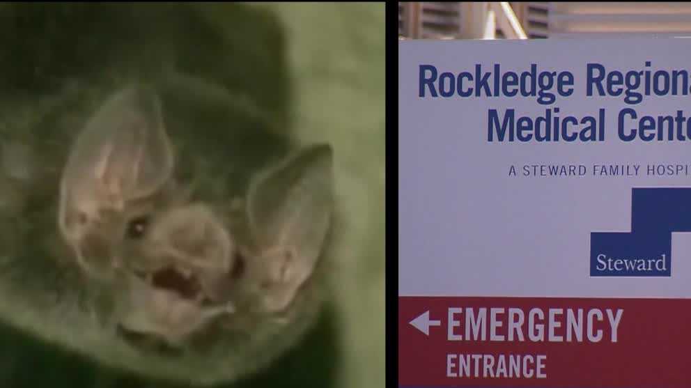 Rockledge hospital infested with bats on some floors