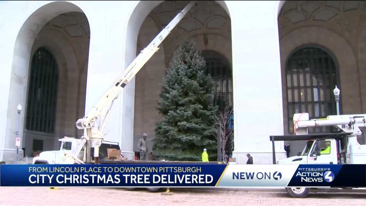 Pittsburgh's 106th Christmas tree arrives to city-county building