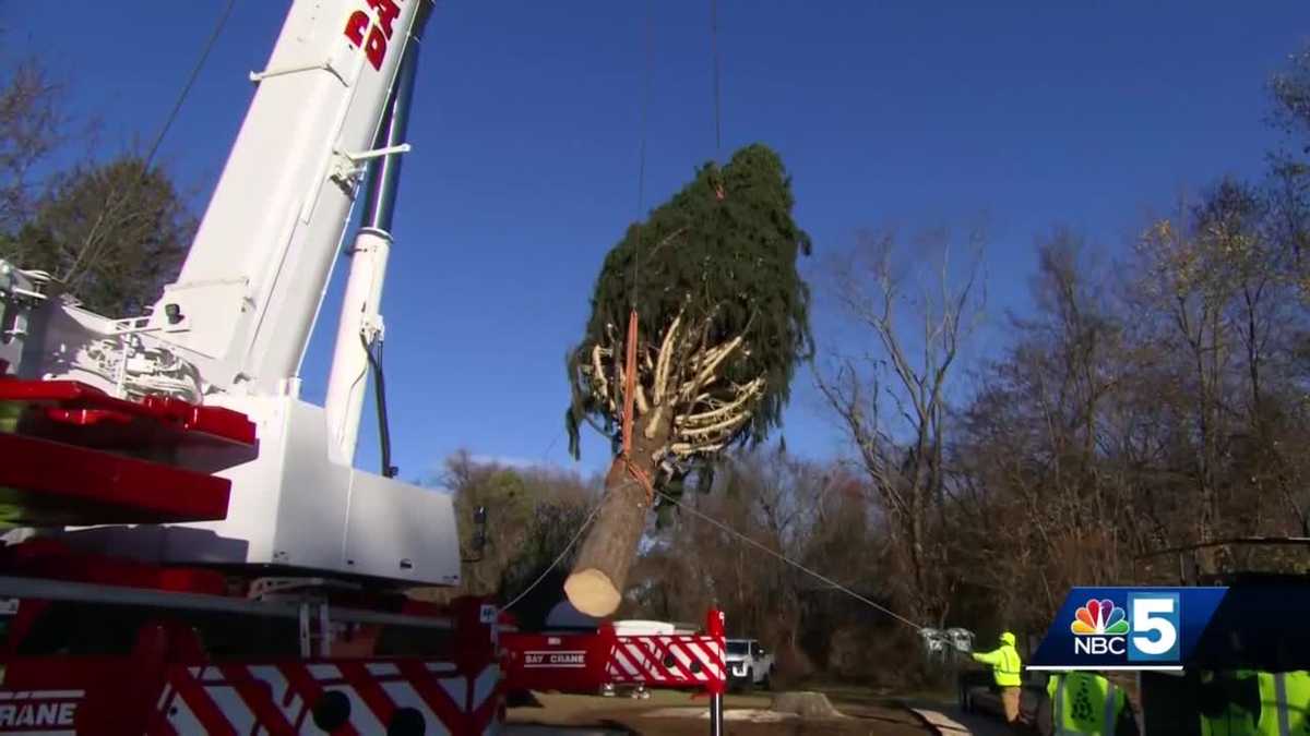 Rockefeller Center Christmas Tree cut down in northern New York