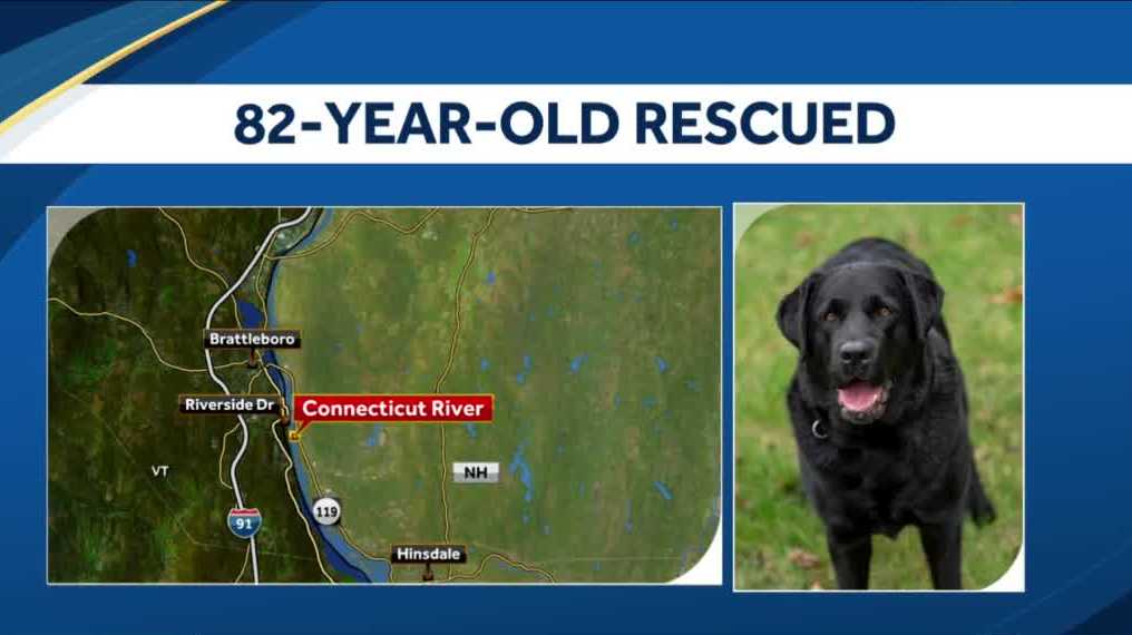 K-9 rescues missing New Hampshire man