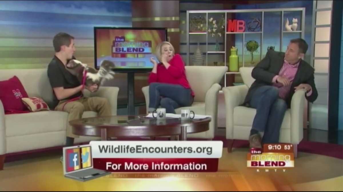 Animal Stories With Dan Green: Skunk Prank