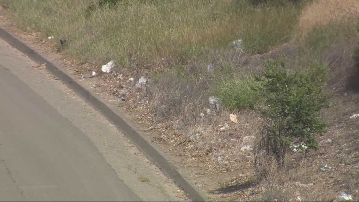 Caltrans cleanup crews collect litter for 'Don't Trash California'