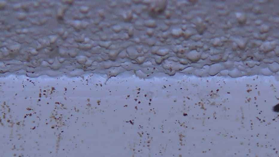 More complaints at Kansas City's Stonegate Meadows apartments