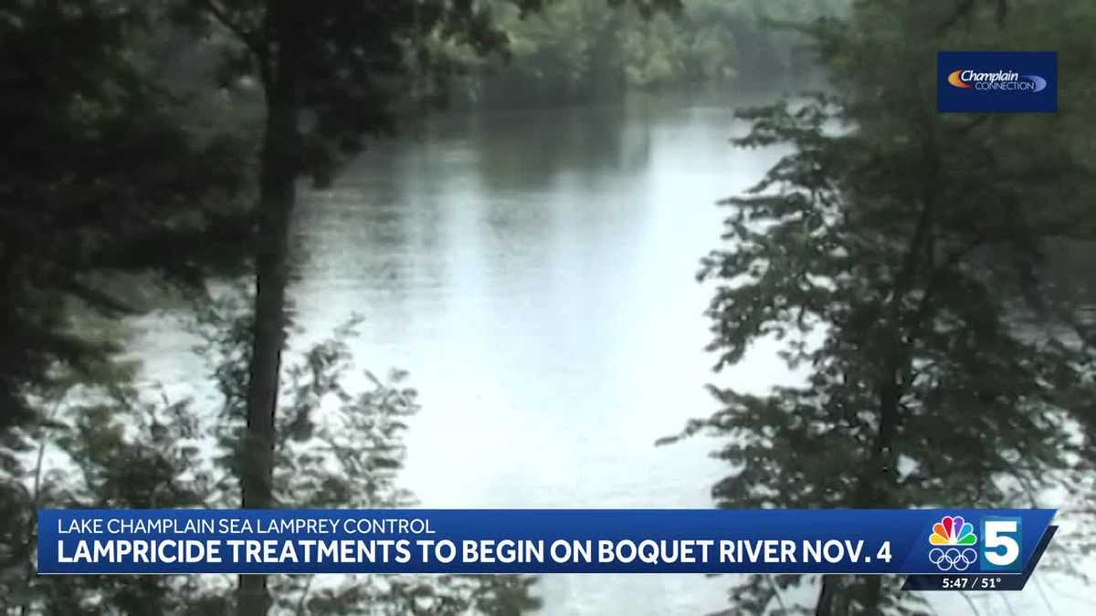 Lampricide treatment in Boquet River to remove invasive lampreys from ...