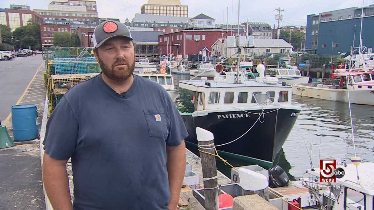 Learn the history behind the iconic Maine lobster
