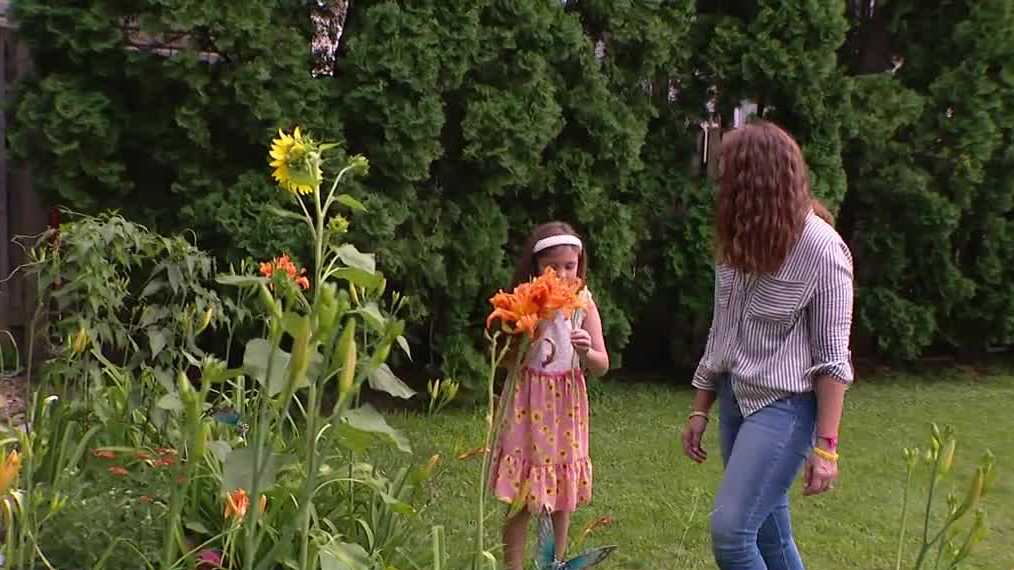 Chronicle: Child Welfare Solutions