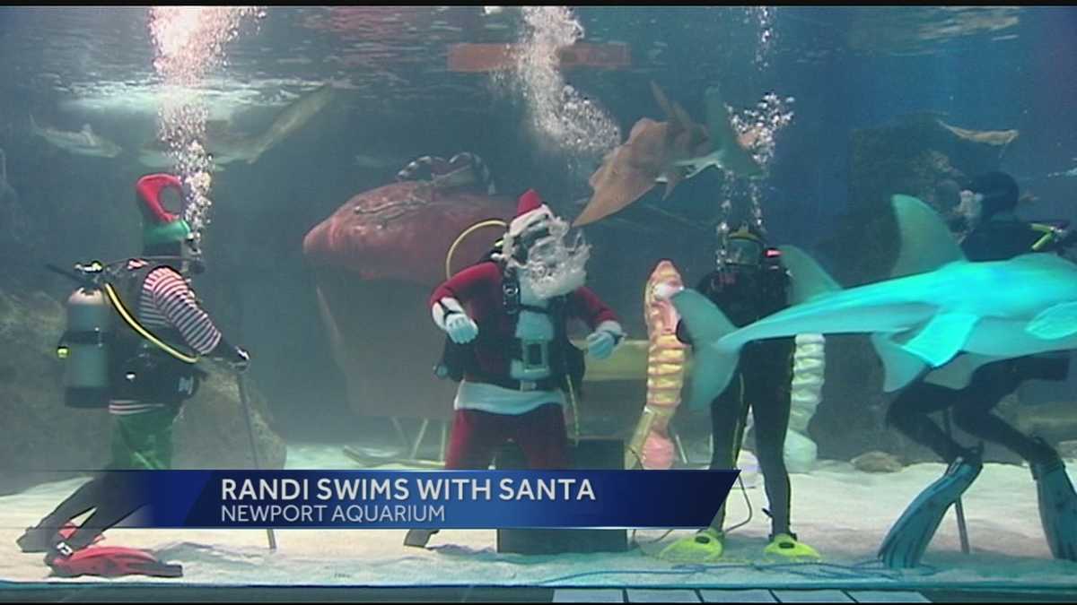 WLWT's Randi Rico swims with Santa, sharks at Newport Aquarium