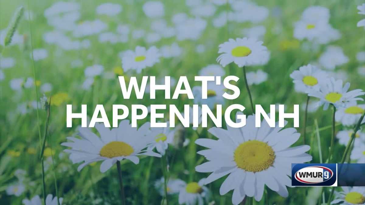 Things to do in NH this weekend: May 20-21, 2023