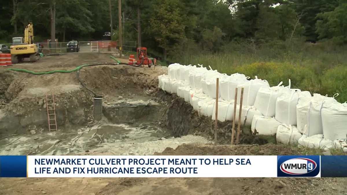 Culvert project helps animals, people in Newmarket