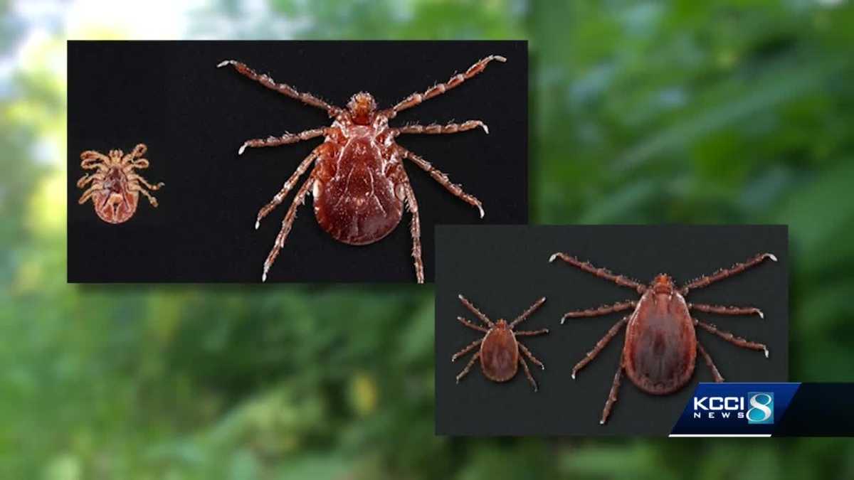 CDC warns of tick troubles spreading across the country