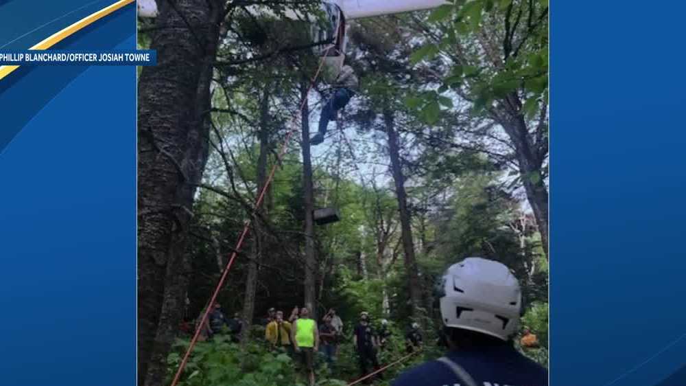 Glider pilot gets stuck in New Hampshire tree after crash