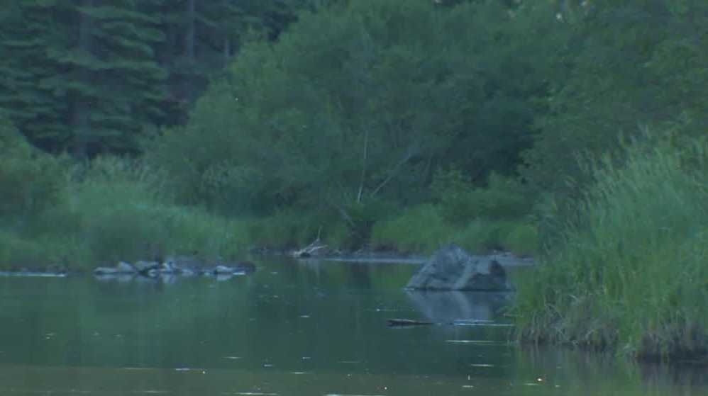 Truckee River is running low; Here's what you need to know