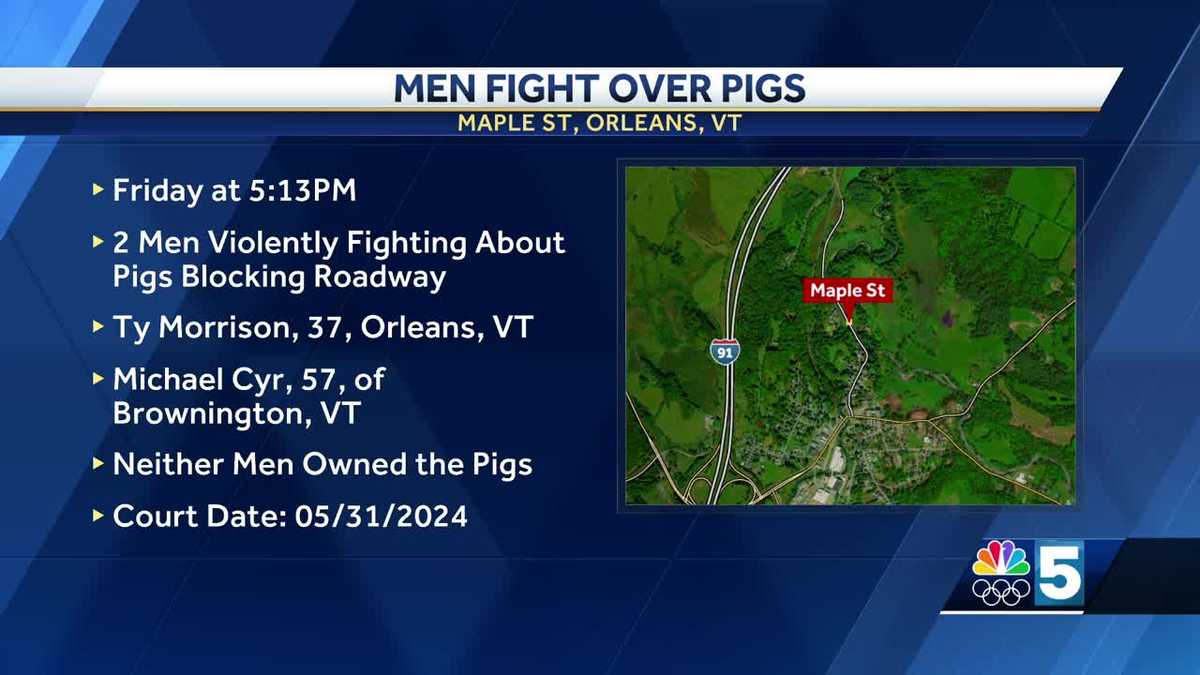 Men fight over pigs blocking roadway