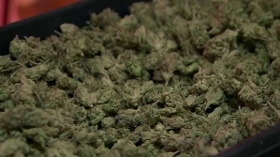 Florida Senate Committee approves bill that bans smoking marijuana in ...