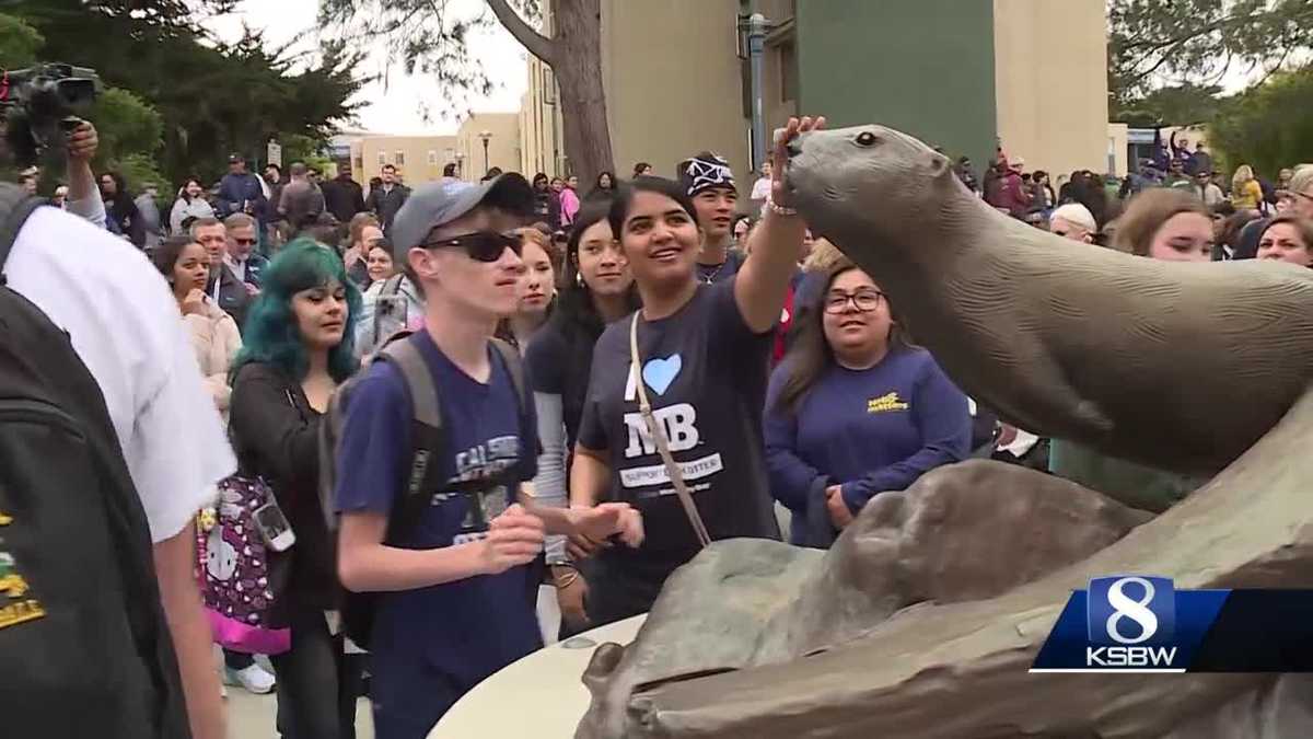 Cal State Monterey Bay unveils new otter statue