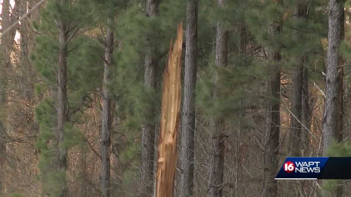 Driver airlifted to UMMC after serious crash, police say