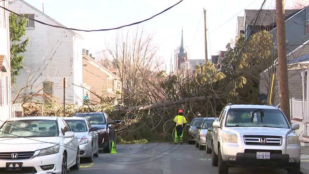 Large tree topples onto wires, multiple vehicles in Lancaster, Pa.