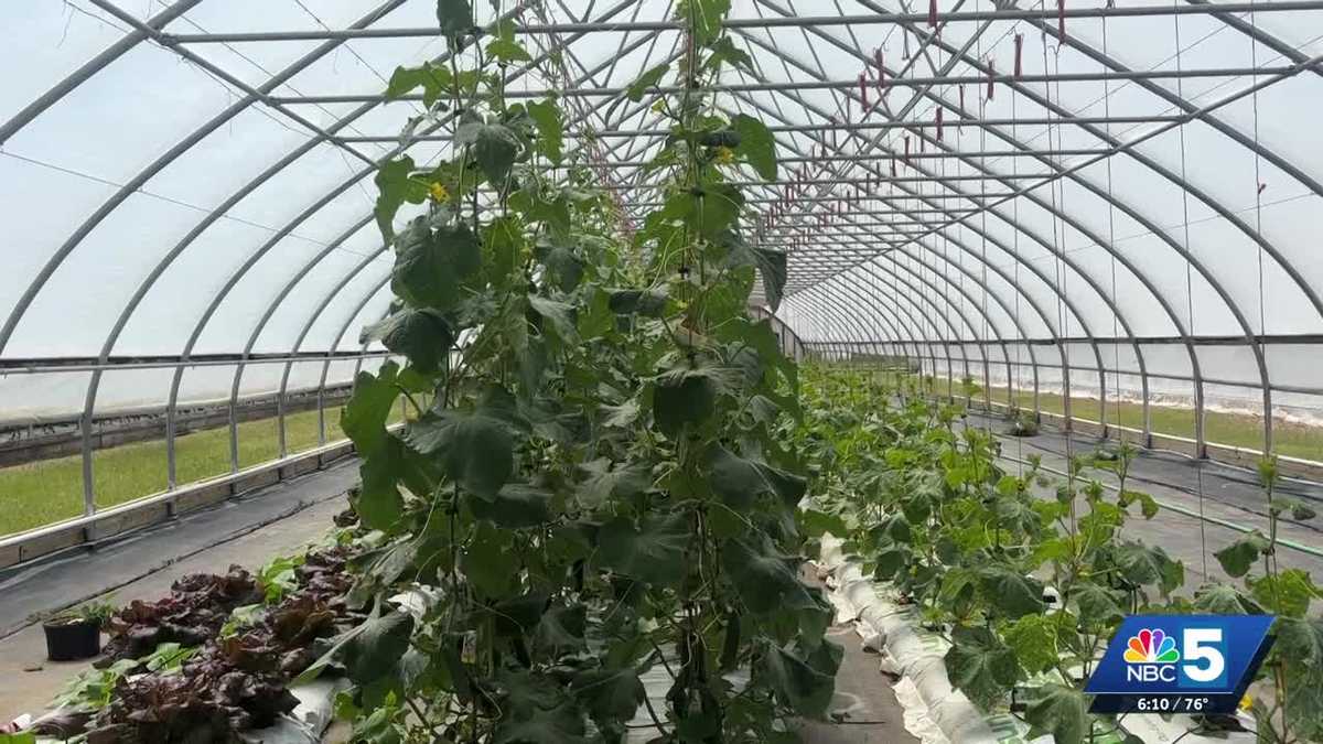 New Seek and Savor campaign promotes Vermont agritourism