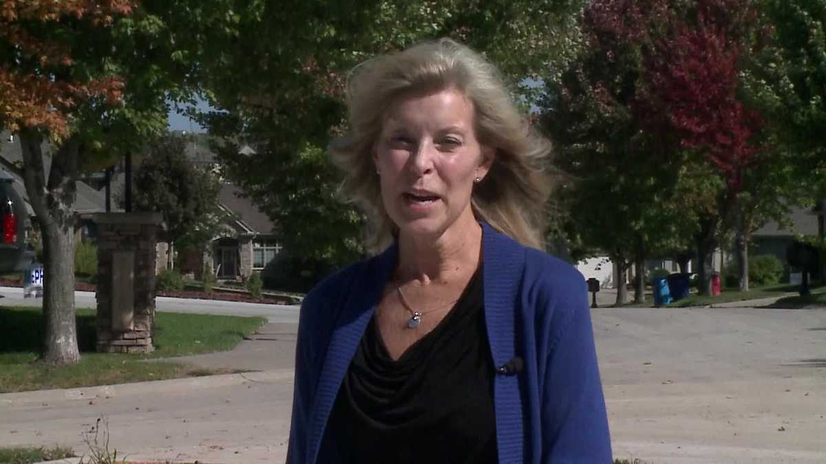 Kristine Dungan running for OPPD Board, Subdistrict 1