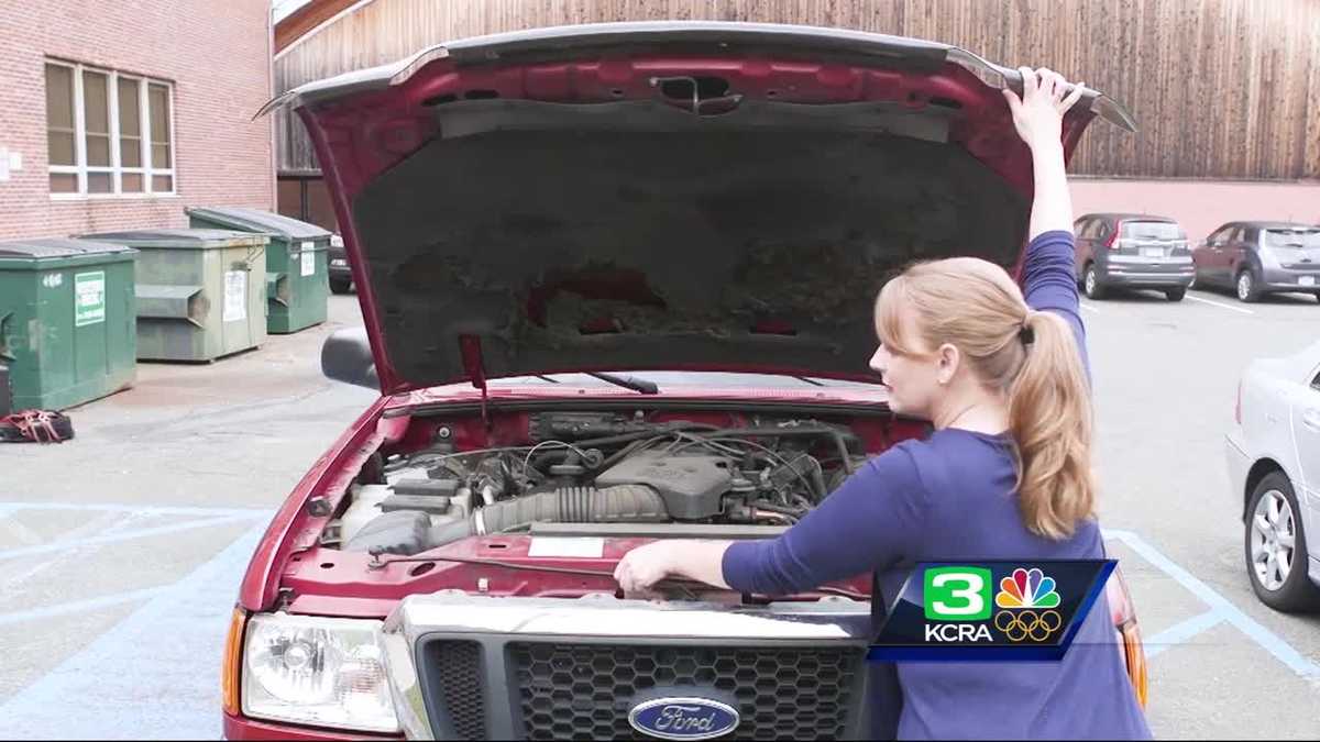 Consumer Reports: Preventing rodent damage