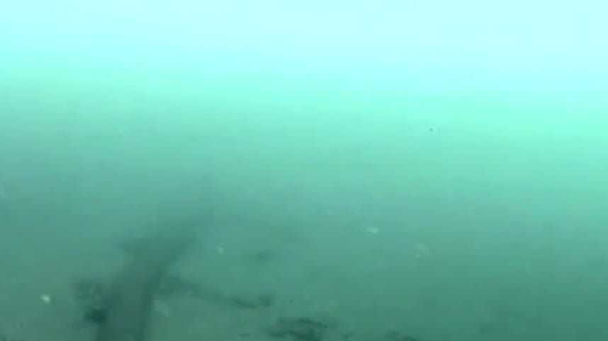 Pipeline anchor strike may have occurred months before California spill