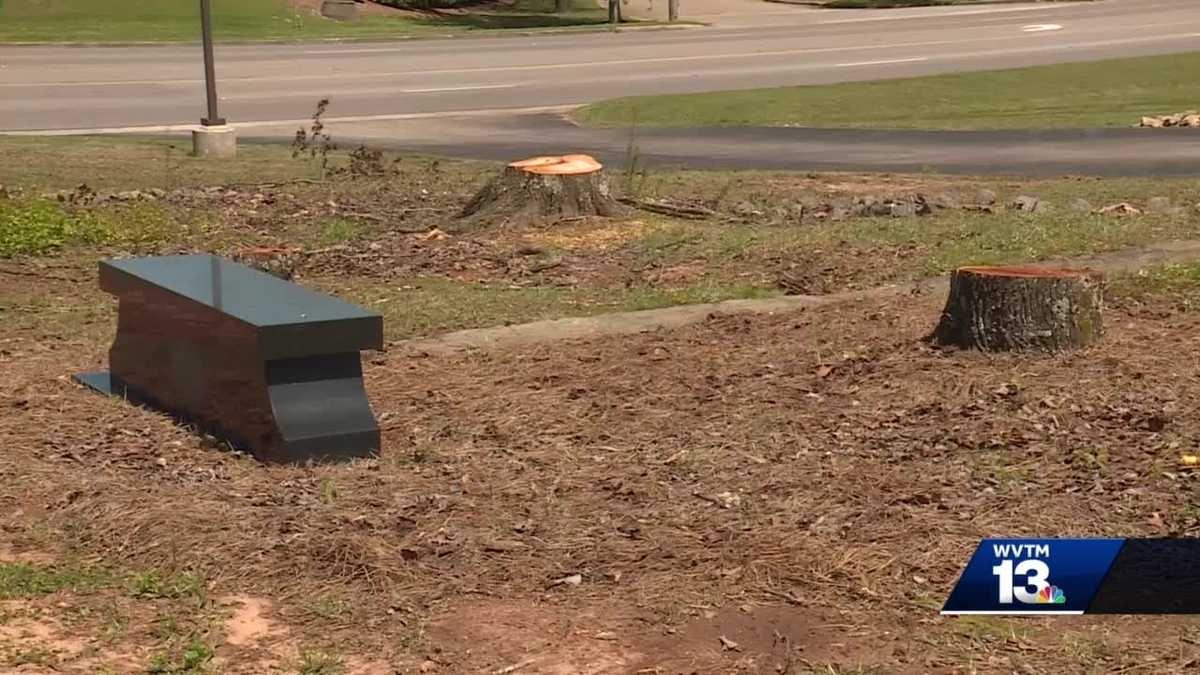 Families upset over trees cut near Trussville cemetery