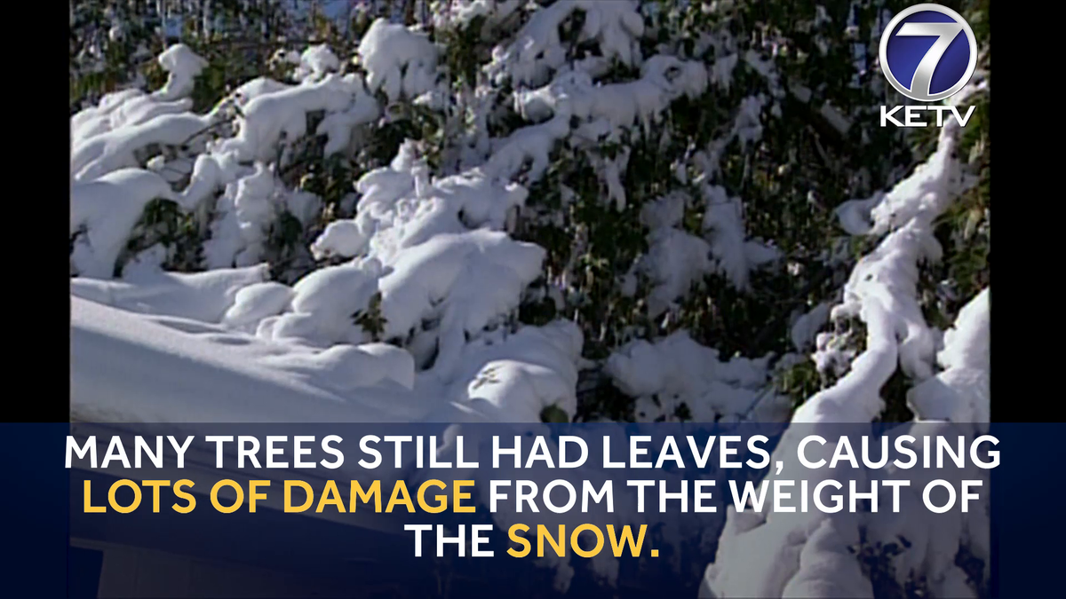 20th Anniversary of 1997 Snowstorm