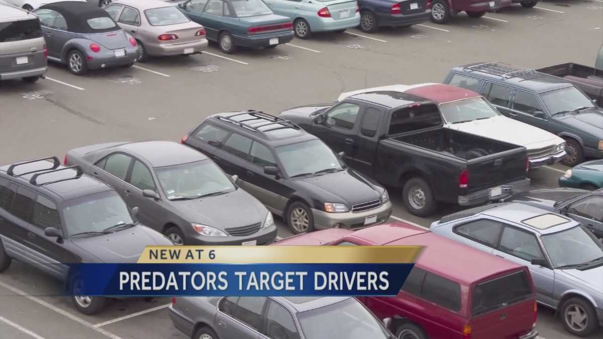 Scam artists look to rip off insurance companies by targeting cars