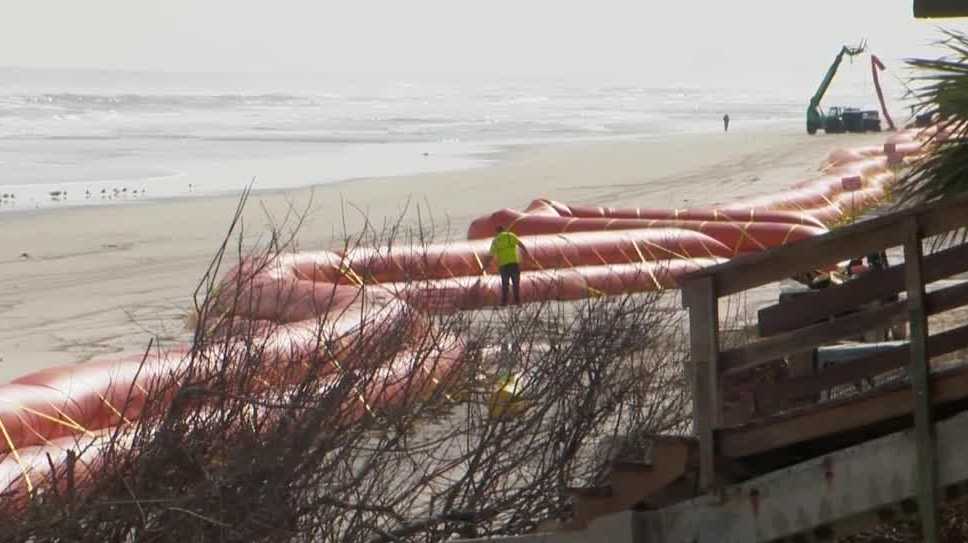 Tiger dams on Volusia County beach vandalized