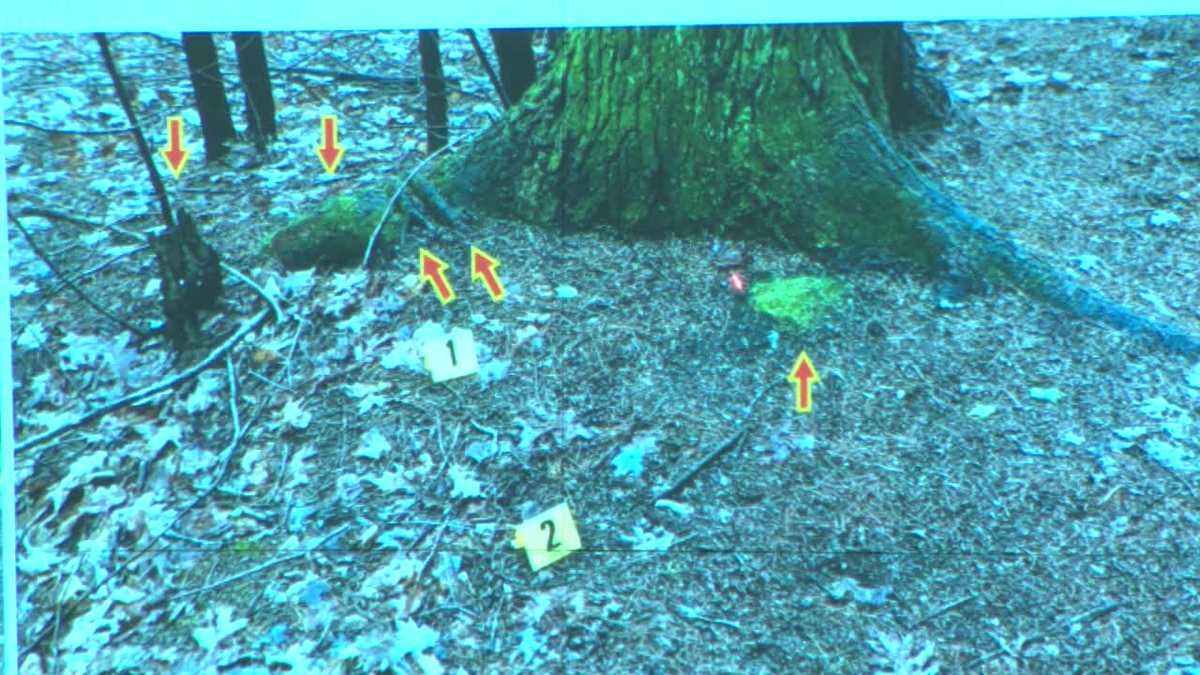 Logan Clegg trial: Forensic image analyst testifies (Part 1)