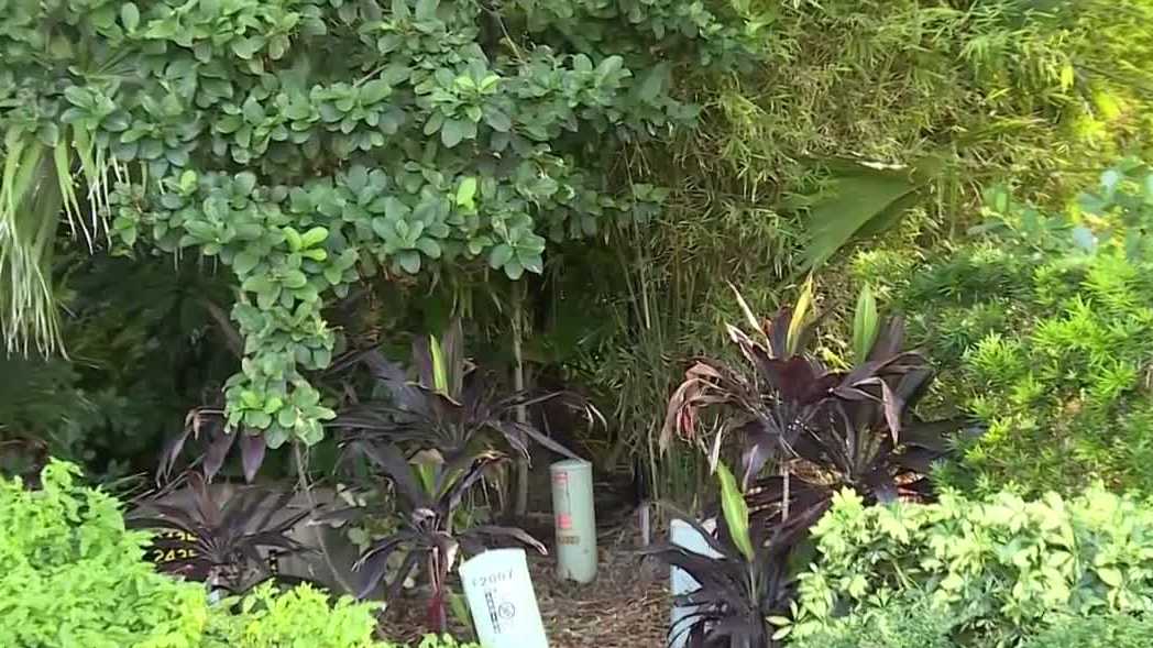 Decomposed body found in Vero Beach neighborhood raises questions