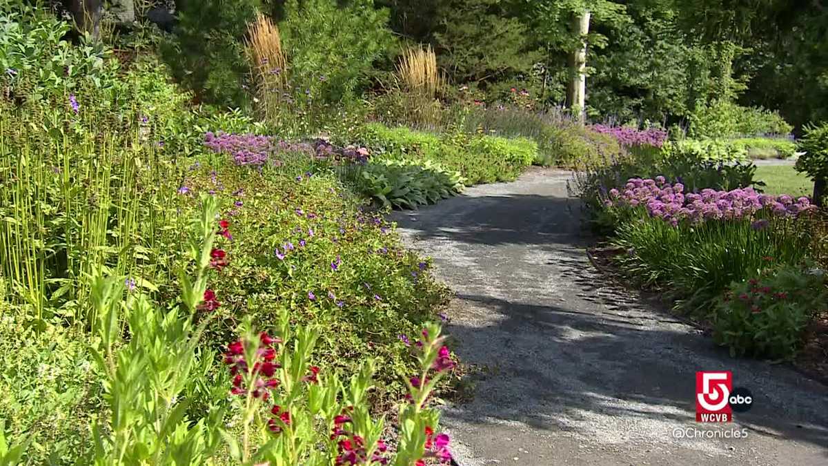 Osterville locals maintain land's historic integrity