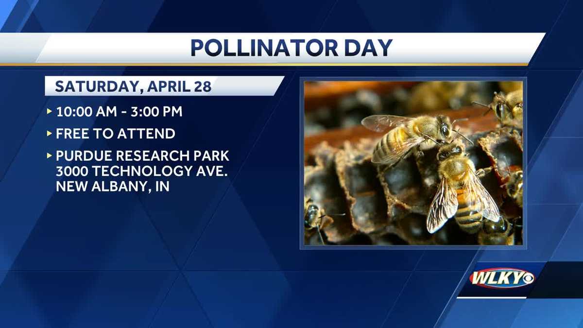 'Pollinator Day' teaches kids, families about beekeeping